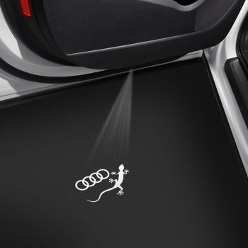 Audi door light rings store