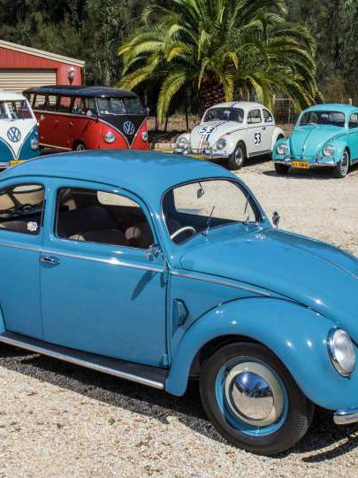 Volkswagen Beetle | Iconic Models | Volkswagen Australia