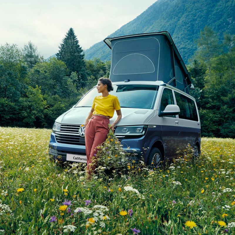 VW California 6.1 Camper Van | VW Vans